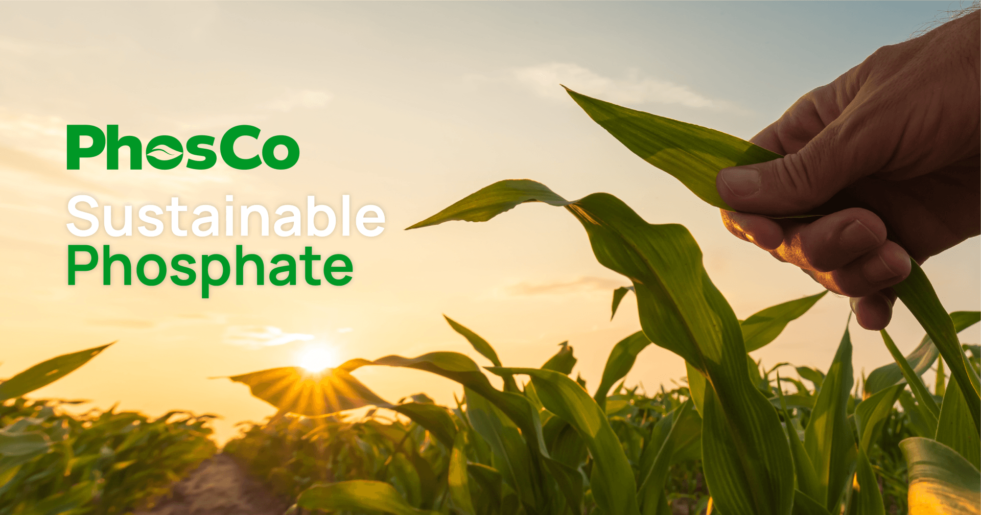 PhosCo | Sustainable Phosphate