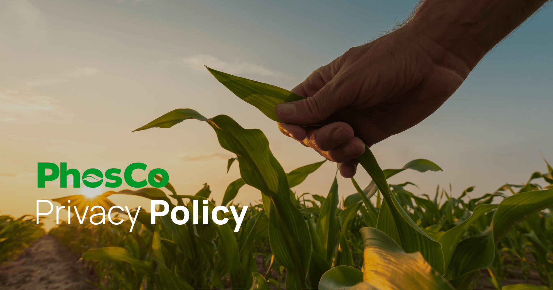PhosCo | Sustainable Phosphate - Privacy Policy