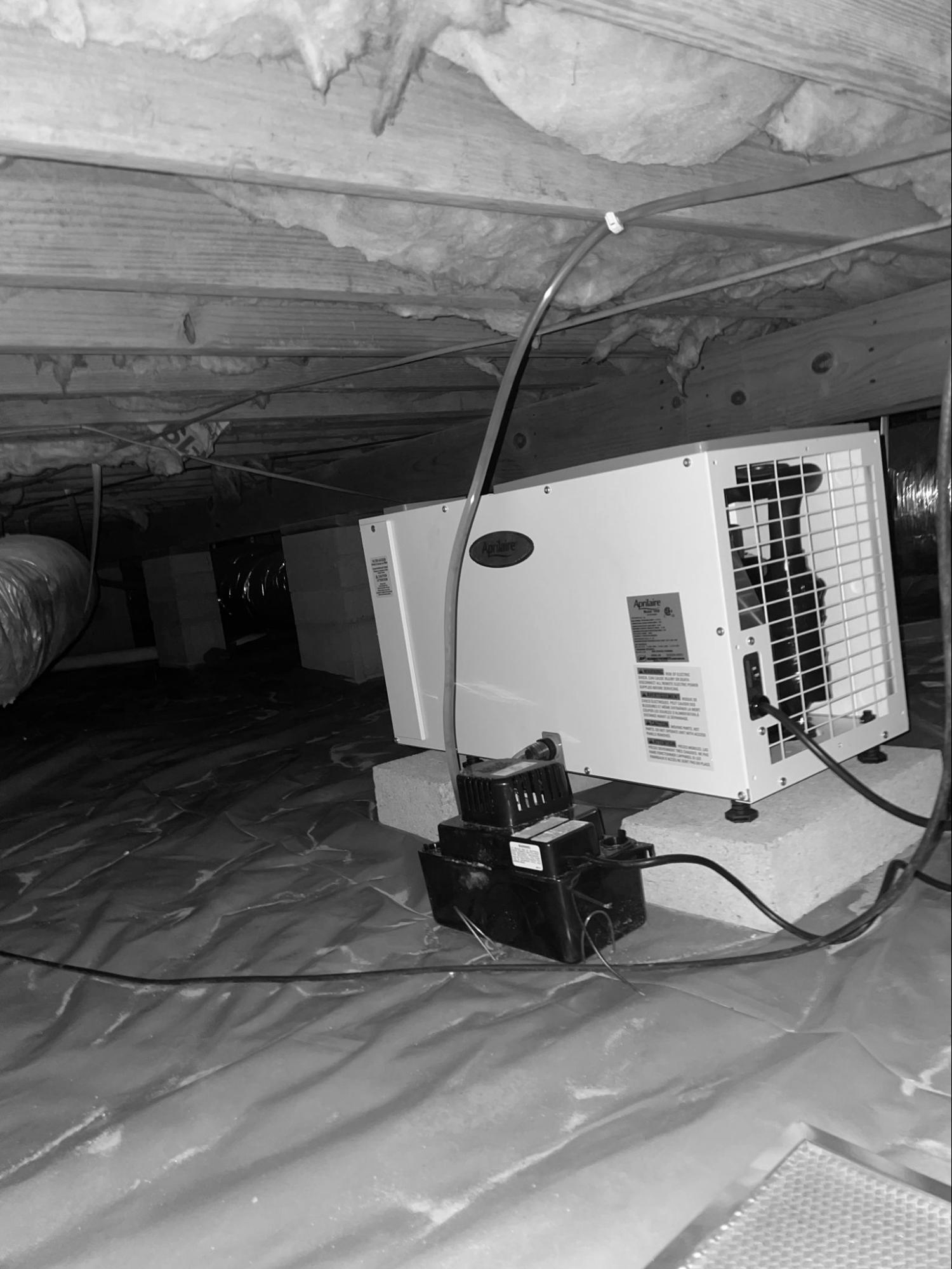 Sutton Specialty Contractors | Crawlspace Repairs & Moisture Control