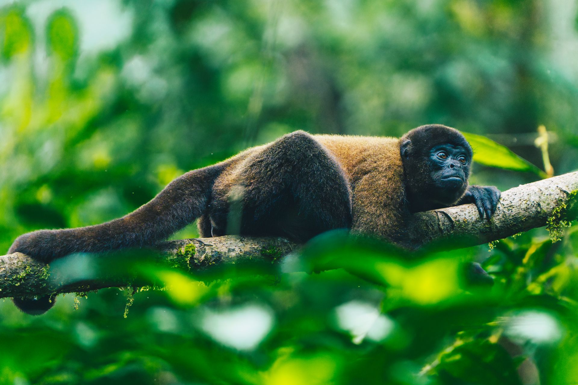 Release news and healthcare plans