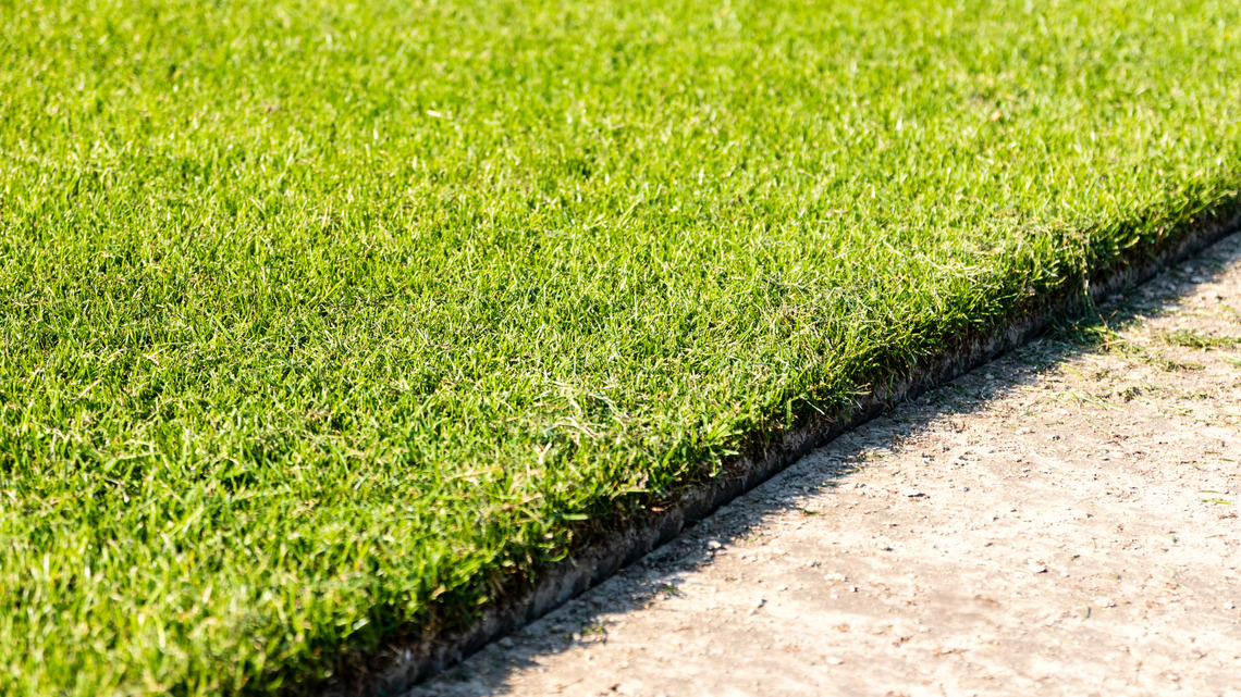 Fort Bend Sod - Top Rated Sod Installation, Sod Delivery, Sod Supplier ...
