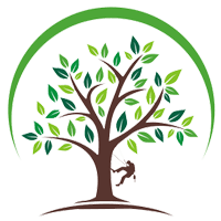 Testimonials | Fellow Tree