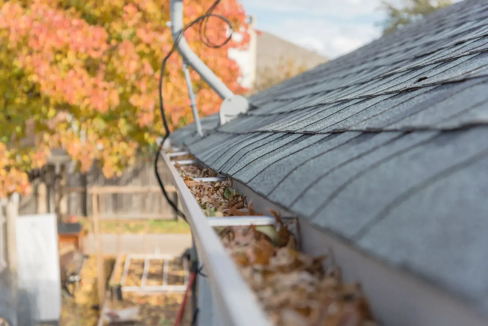 Blocked Gutter Systems: Common Causes & Dangers