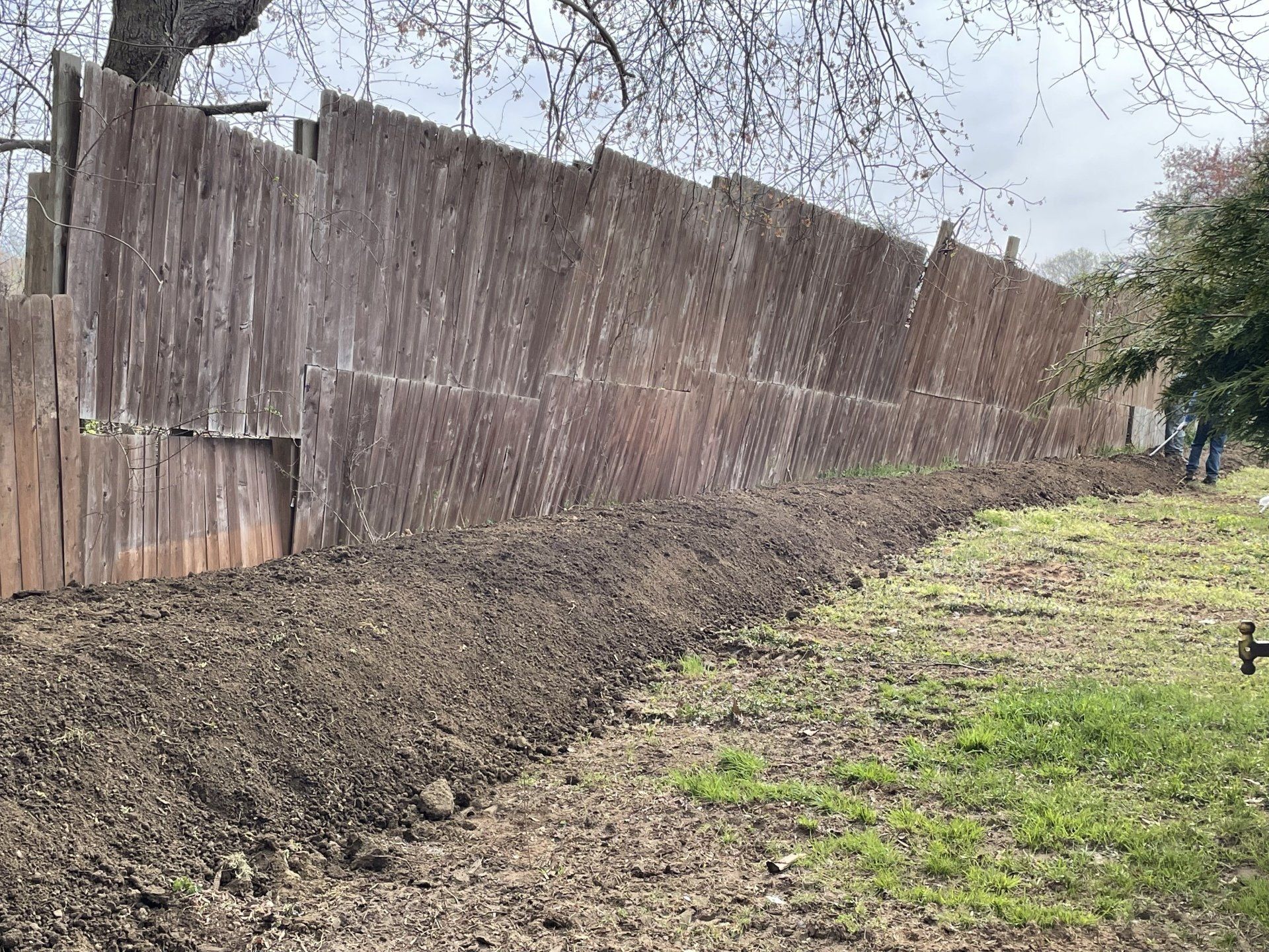 Privacy Kings | Oceanport, New Jersey | Privacy Hedges