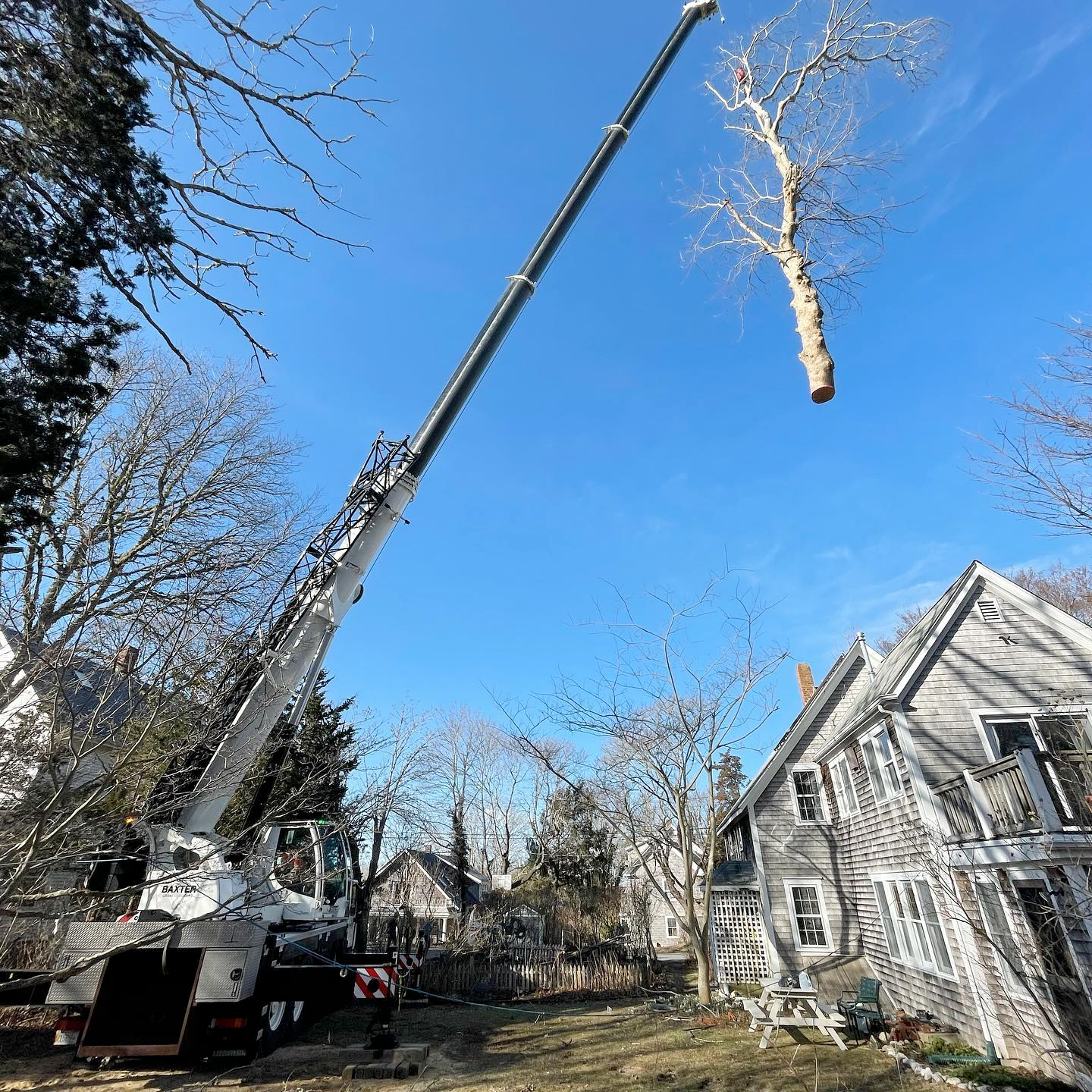 What are the Benefits of Using a Crane for Tree Removal?