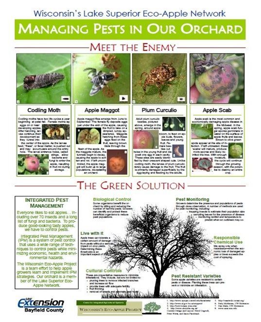 Pest Management | Royal Oak Farm Orchard