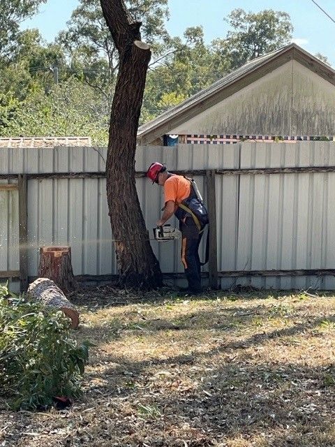 What Is A Tree Lopper? Read Our Comprehensive Guide