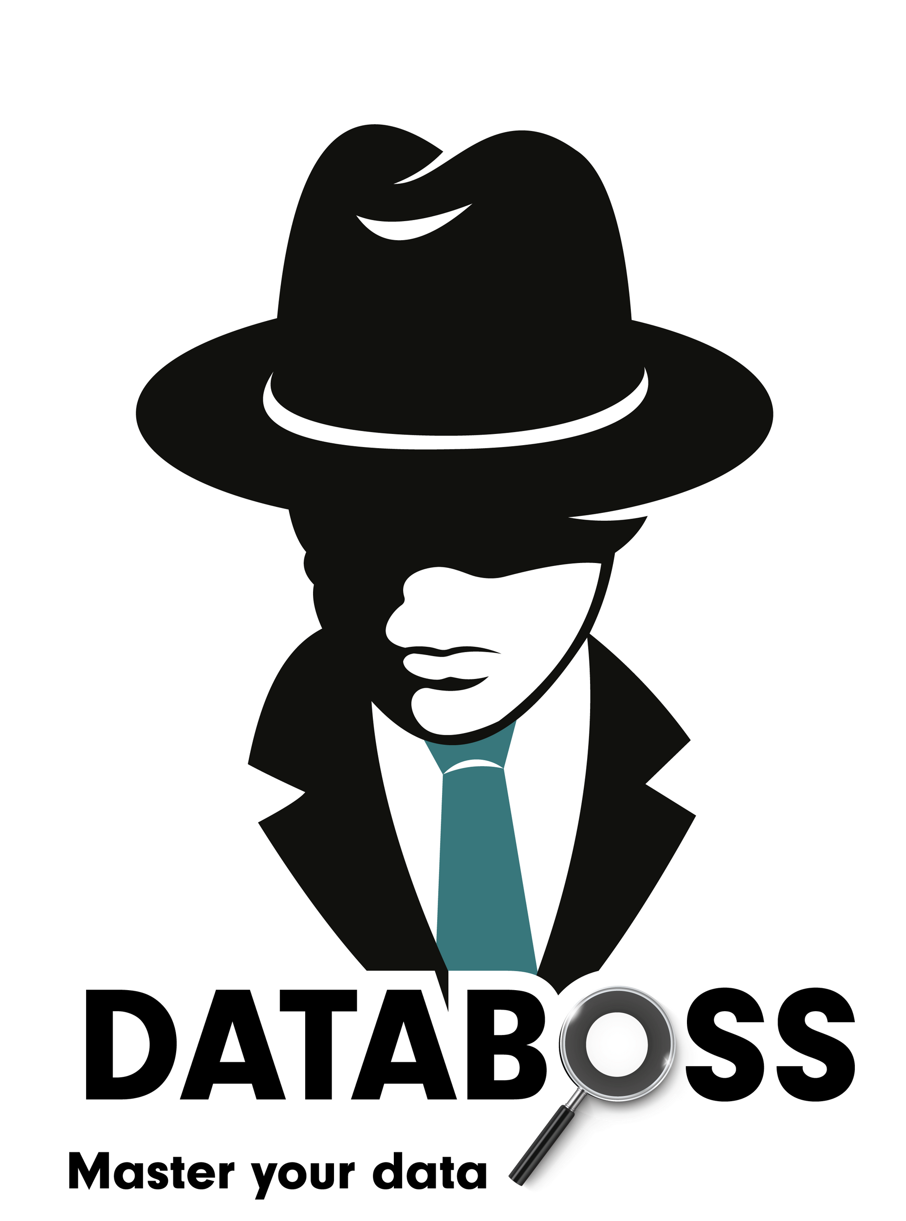 Databoss Privacy Game