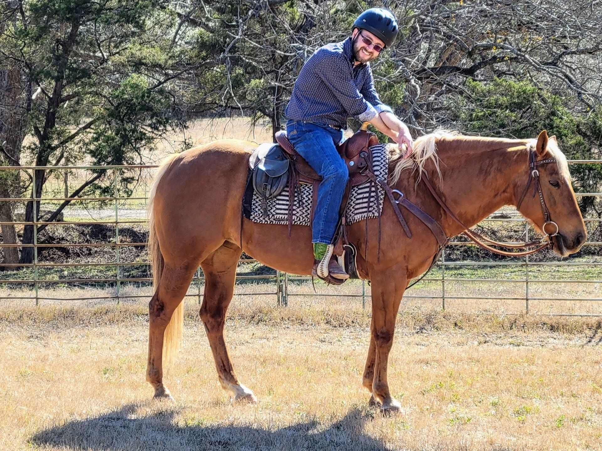 Home [www.texashorseadventures.com]
