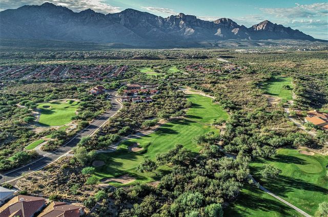 The Golf View