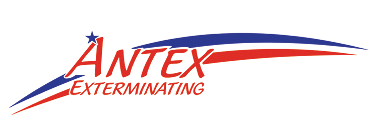 Rodent Control | Fayetteville, NC | ANTEX Exterminating