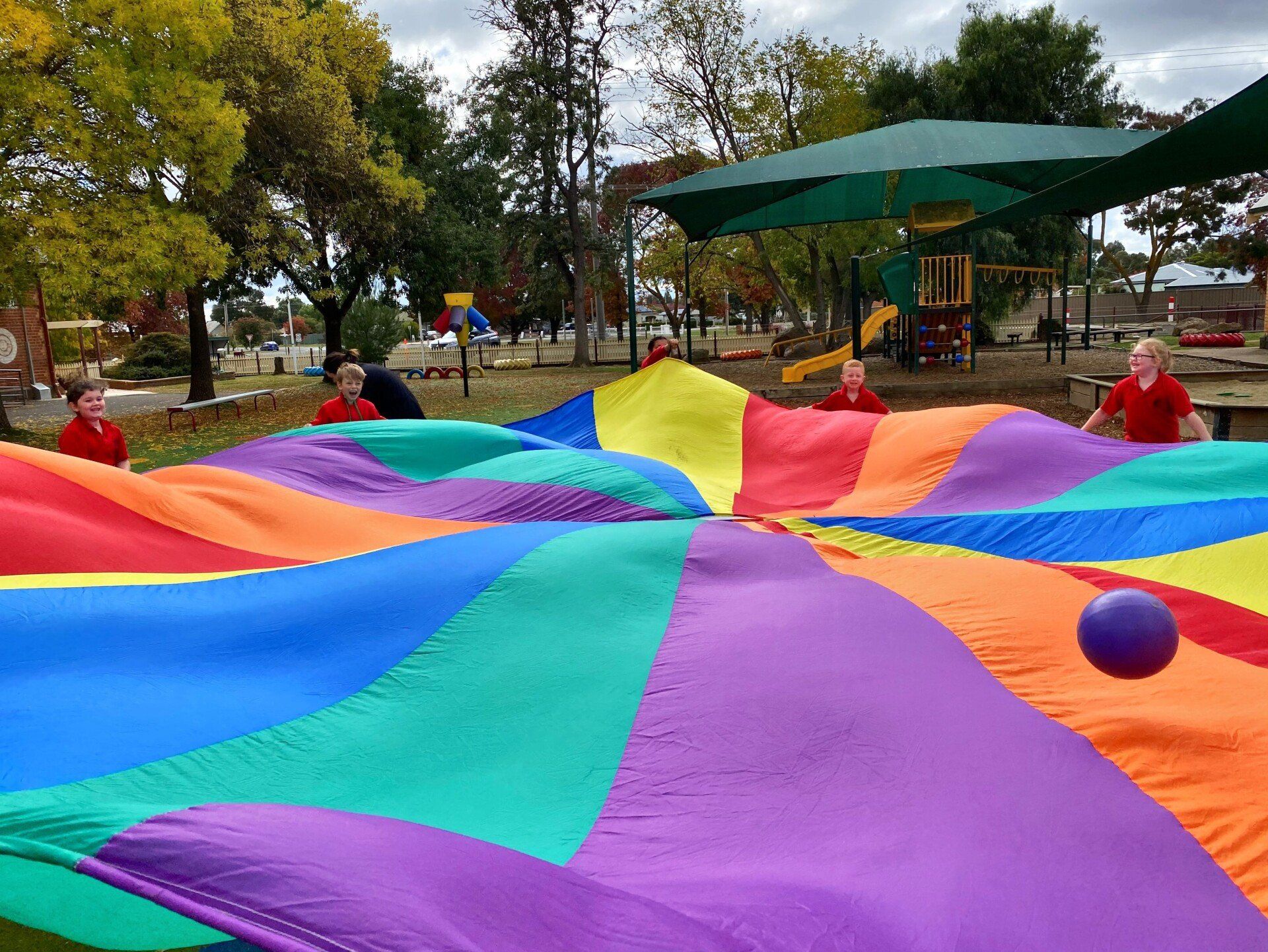 Welcome to Carisbrook Primary School! - Carisbrook Primary School