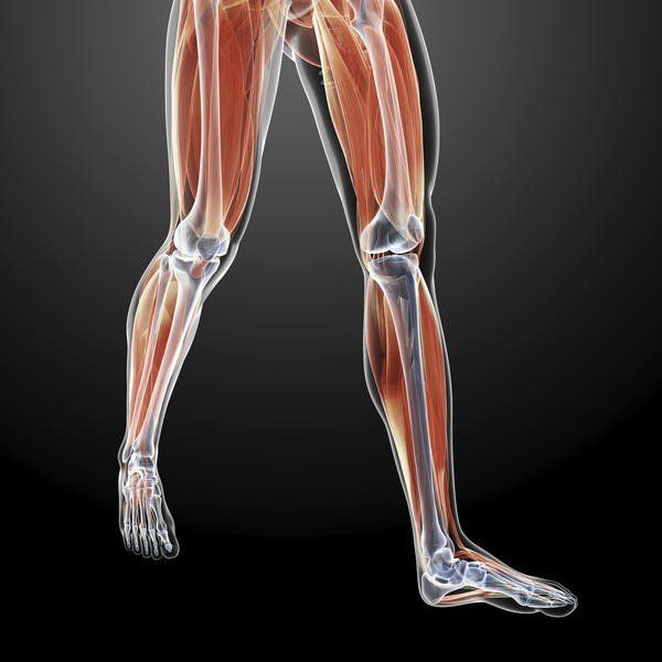 Physical Therapist's Guide to Balance Problems