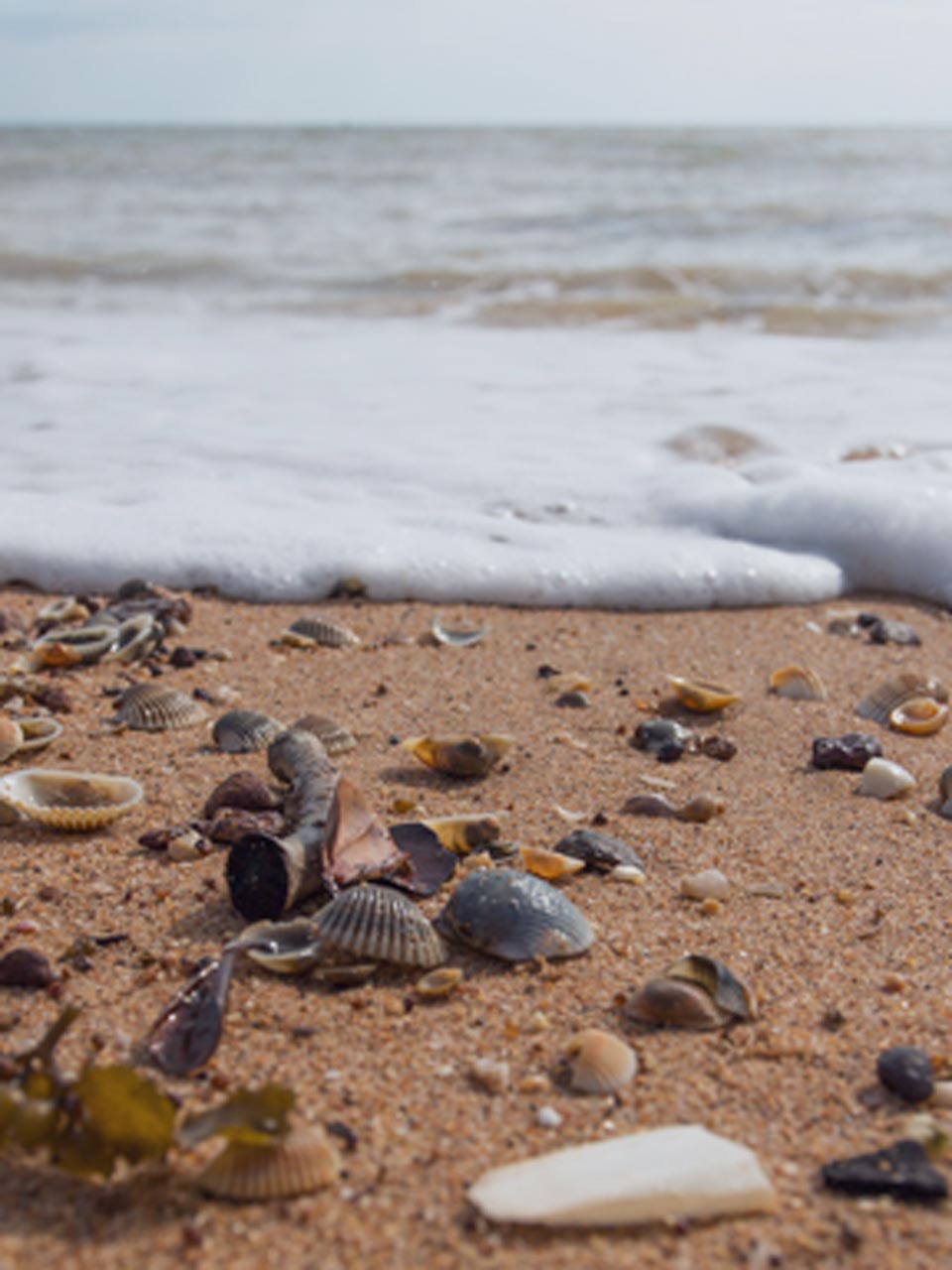 Dundee Beach accommodation with ocean views | Skippers at Dundee