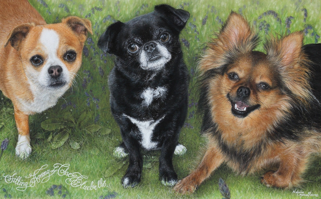 Natalie Mascall's realistic animal drawings, wildlife art, feline art ...