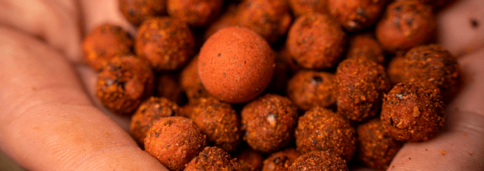 Why You Should Use 10mm Boilies In Your Fishing