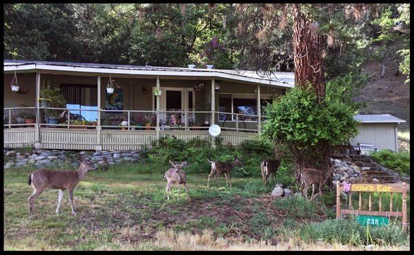 Trinity River Adventure Inn River Cabins~Lodging from a rustic ...