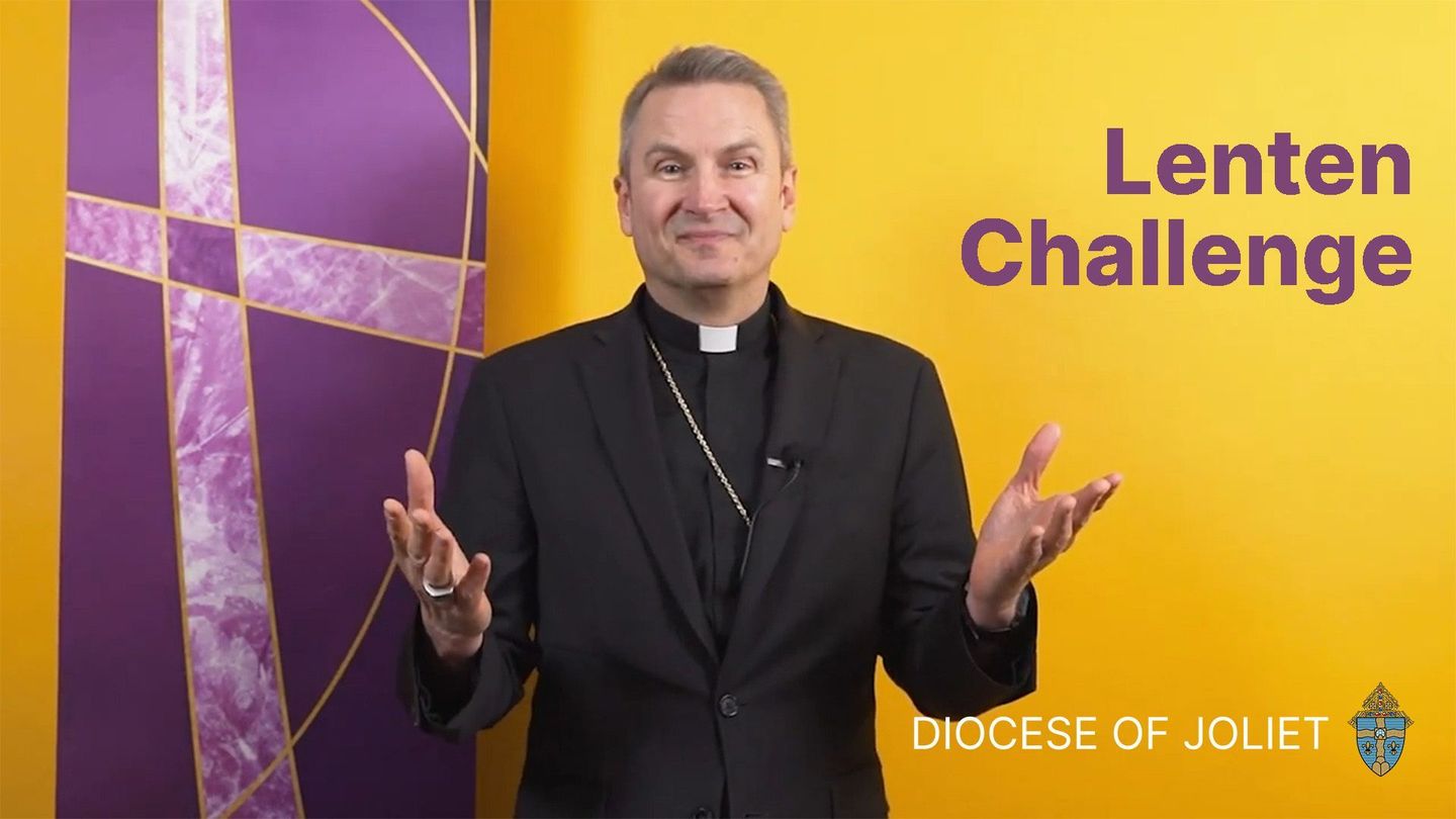 HOME [www.stpatrickwiltoncenter.org]