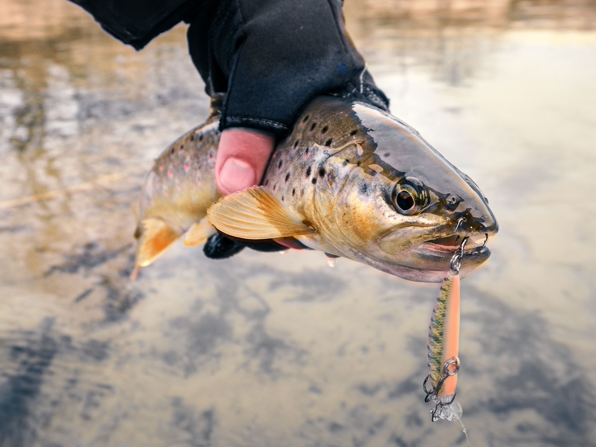 Fishing Photography Tips: How to Capture Your Best Catch on Camera