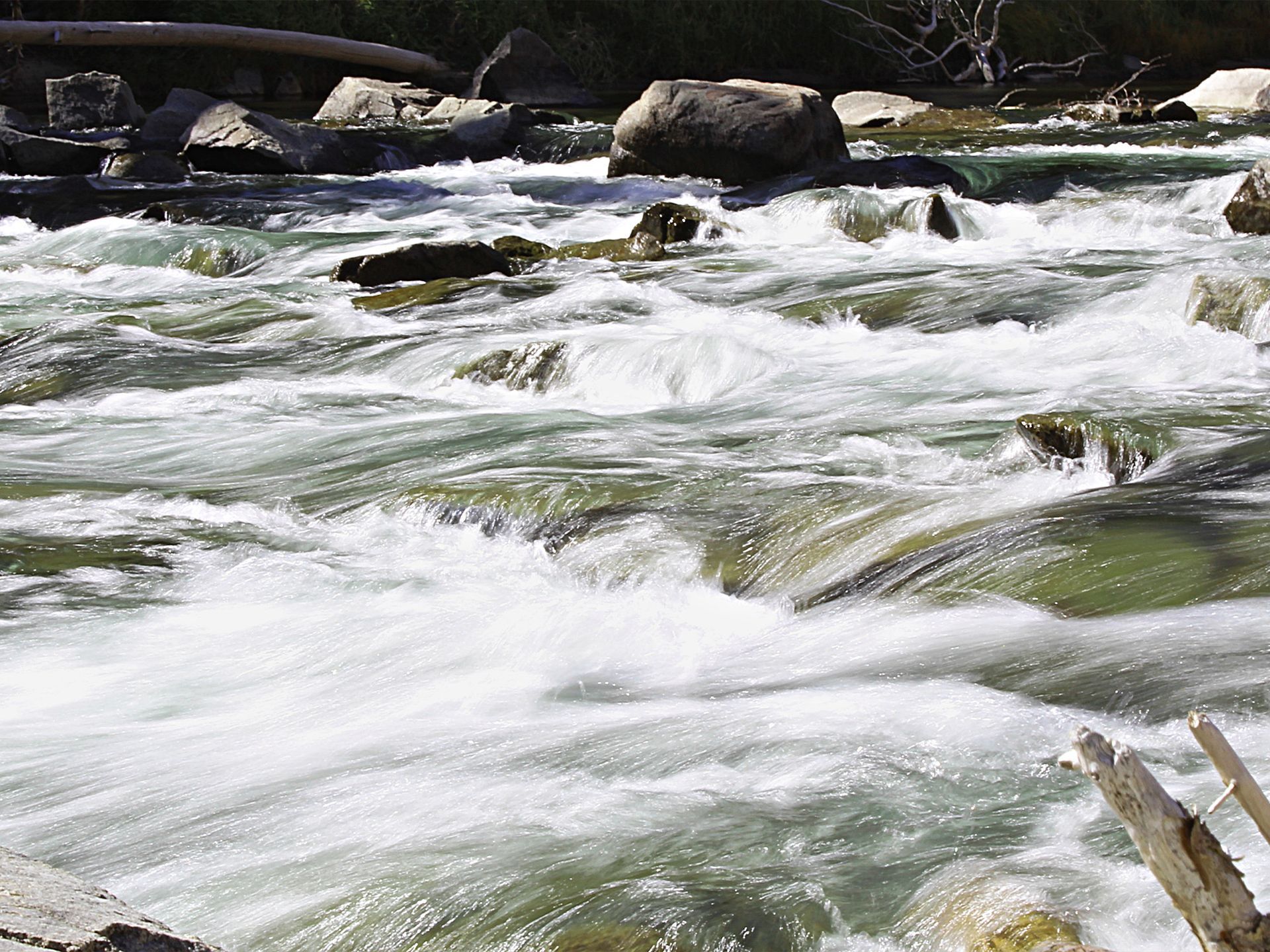 Top 5 Must-Experience Whitewater Rafting Trips in the Pacific Northwest