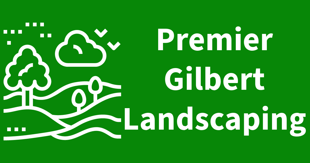 BBQ Island Design and Install Services | Premier Gilbert Landscaping