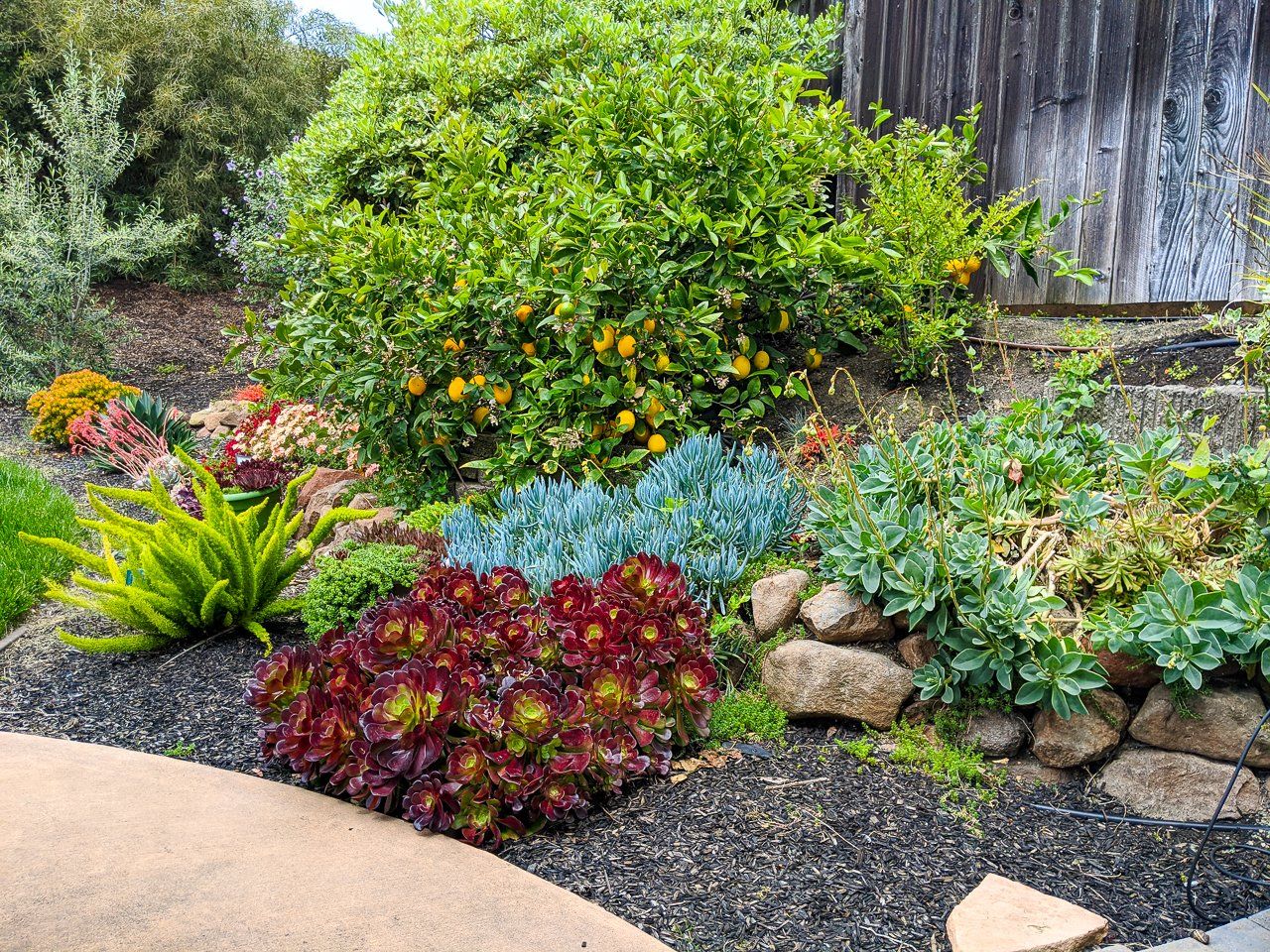 Landscaping | San Ramon, CA | Get It Done Gardening