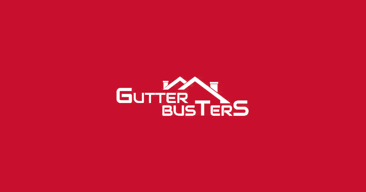 Gutter Busters | Gutter Cleaning | Dublin