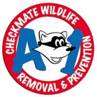 Humane Skunk Removal Services | A-1 Checkmate | Pest Control Services