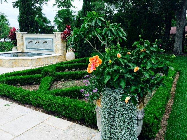 Winter Flowers Houston Tx | Best Flower Site