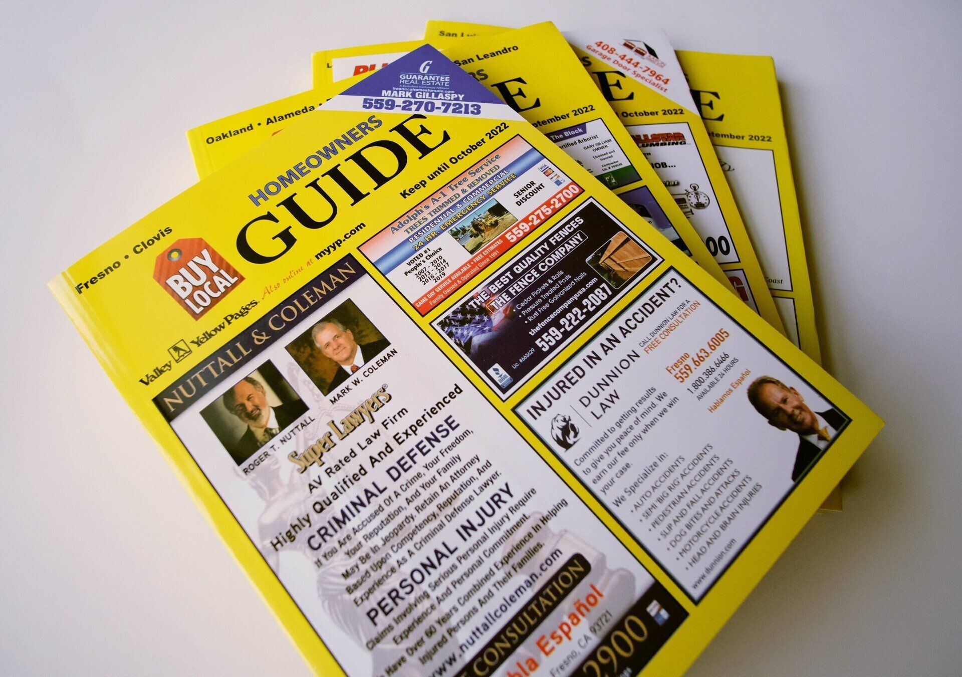 Home [www.buylocalmediagroup.com]