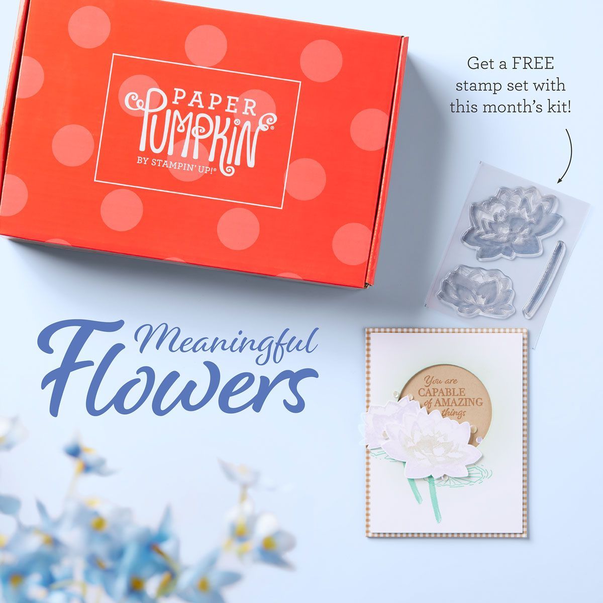 Stamp With Deb | Citrus Heights | Stampin' Up! Demonstrator