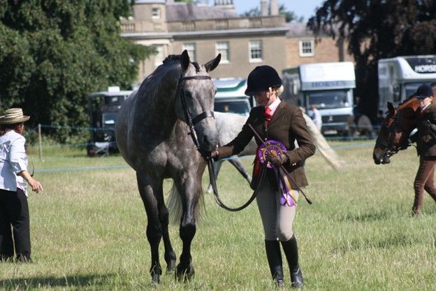 The Cleveland Bay Horse Society