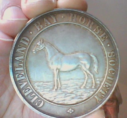 The Cleveland Bay Horse Society