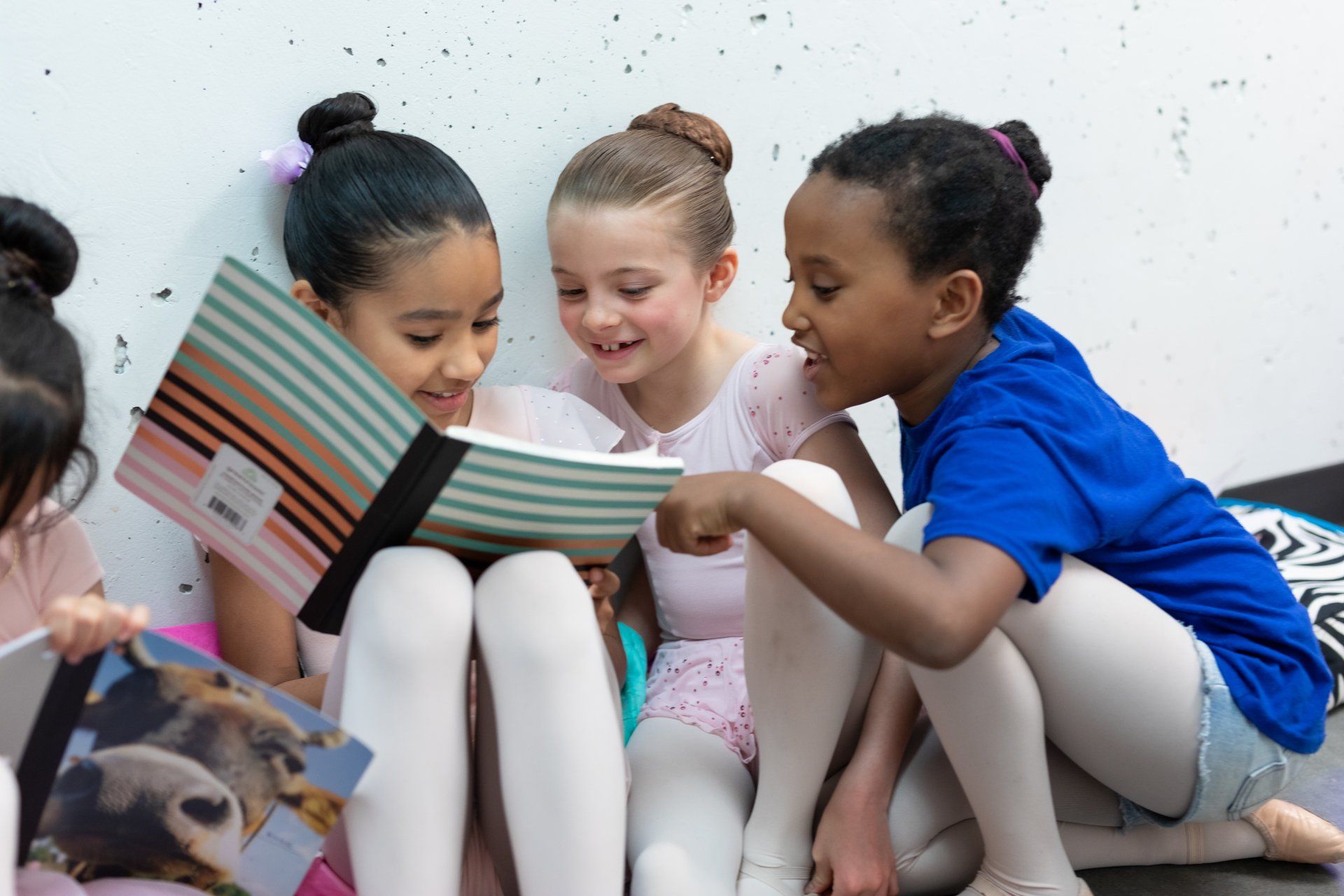 Minnesota Dance Theatre