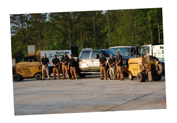 Stump Grinding Atlanta By Professionals - Ness Stump Grinding