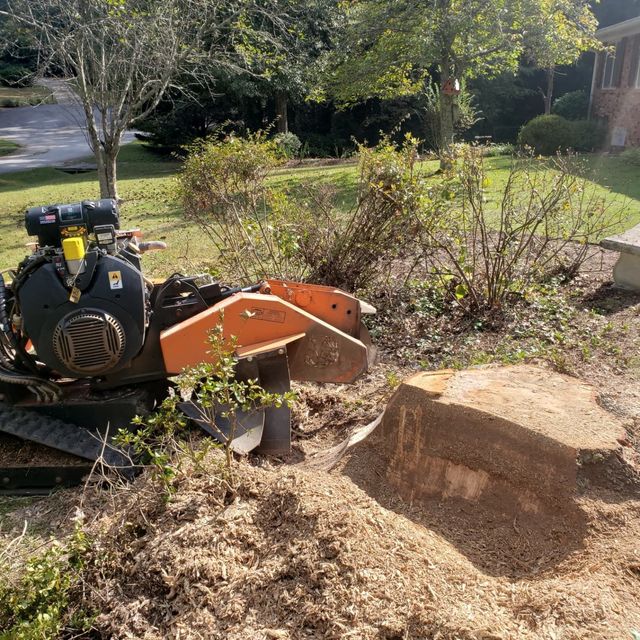 Tree Stump Mulch Uses