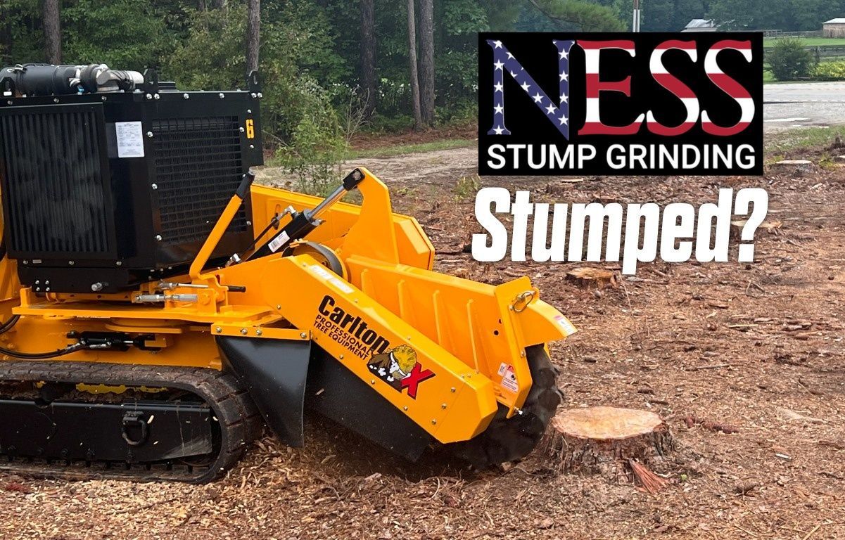 South Fulton Stump Grinding Services - Remove Ugly Stumps Fast with ...