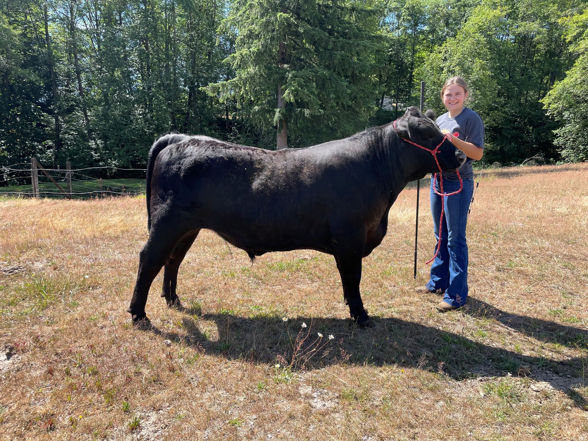 PC Youth Livestock Auction | Washington | 360-942-3713