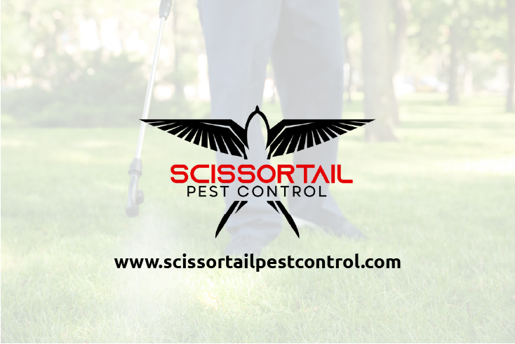 Pest Control Service Oklahoma City, Exterminator, Termites