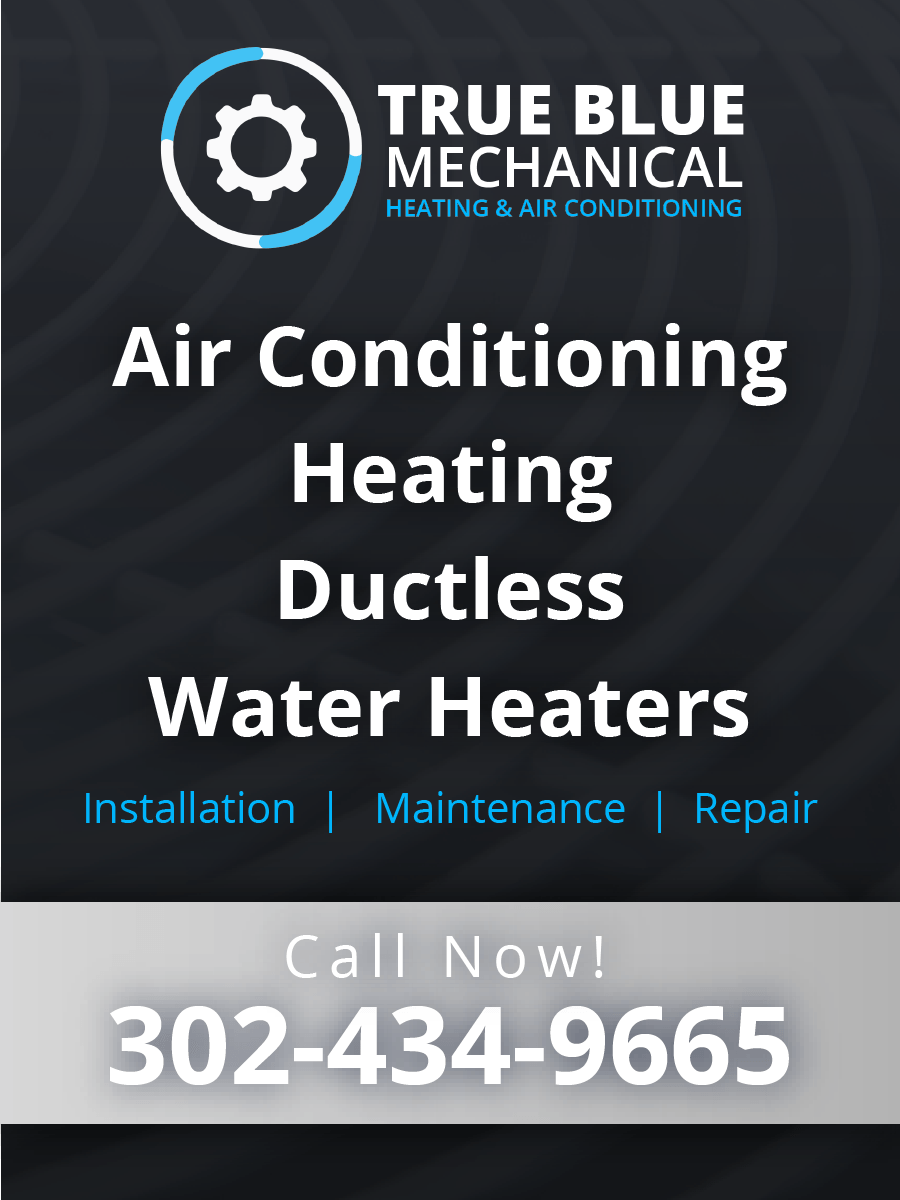 Heating and Air Conditioning Services | True Blue Mechanical