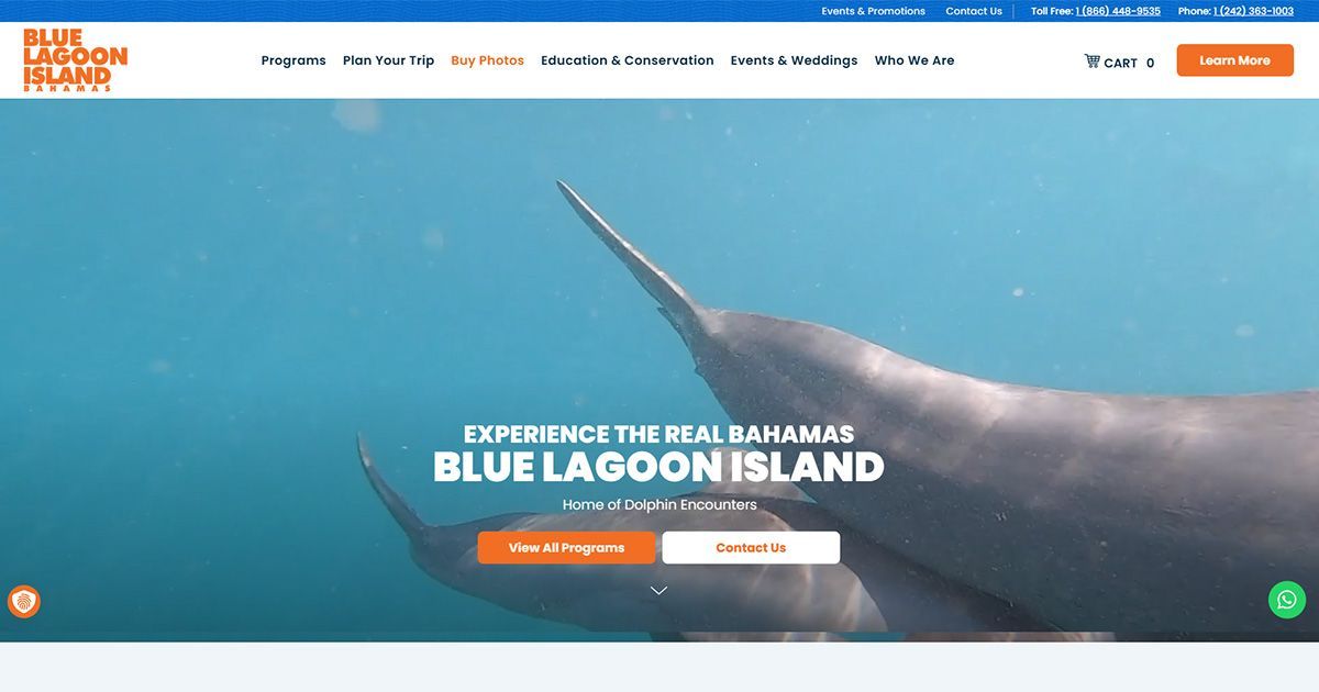 Marine Science Internship for Students & Graduates