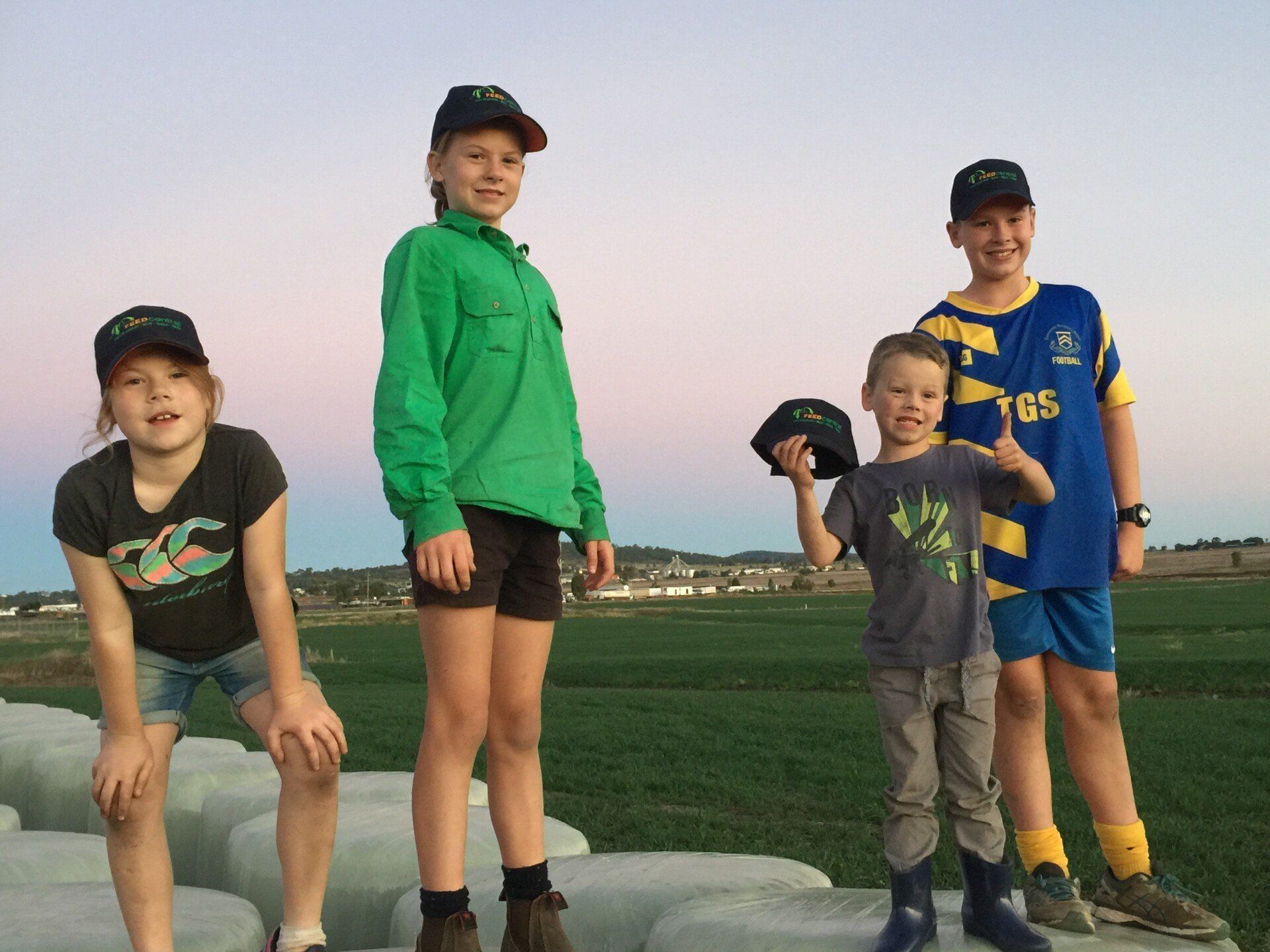 About Toowoomba Hay Farm