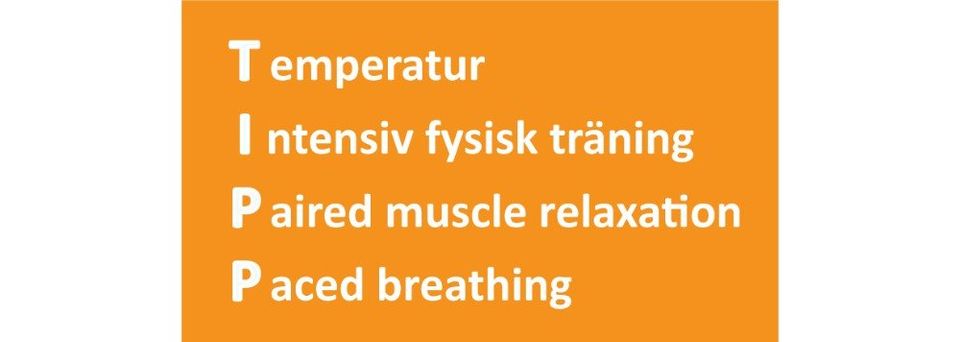 TIPP-färdigheter | Krisfärdigheter | Hantera Känslor