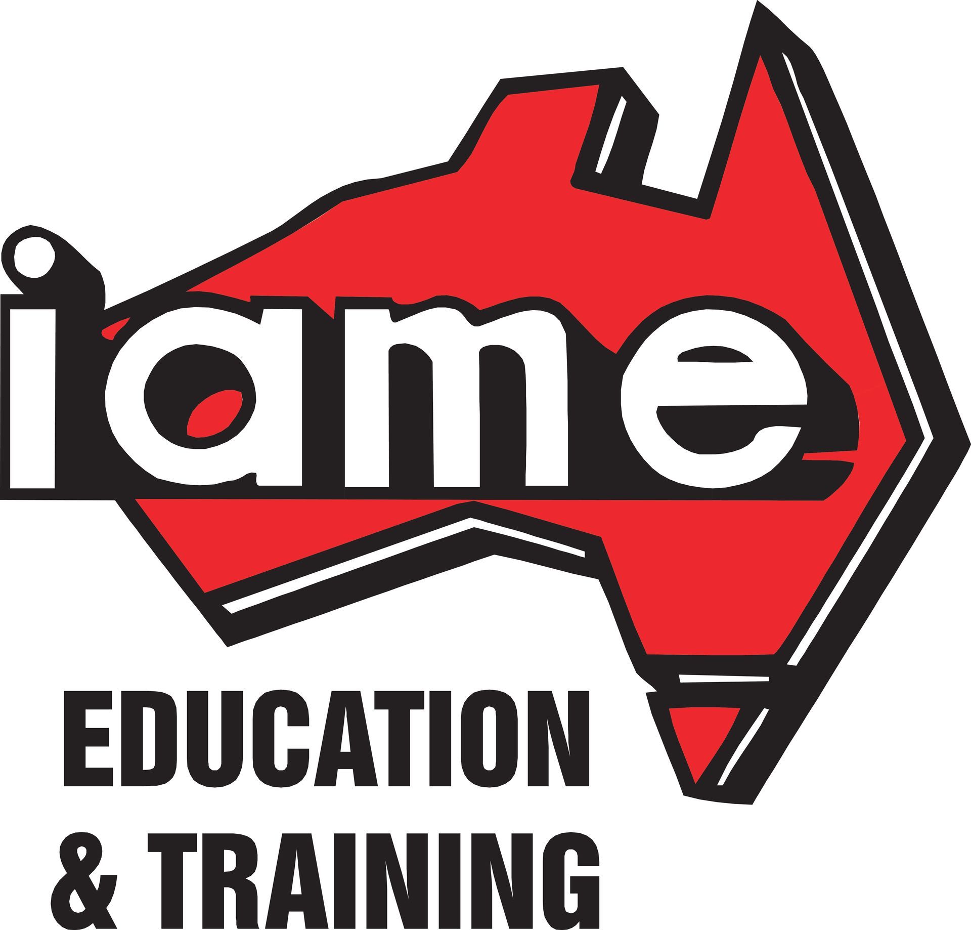 THE INSTITUTE OF AUTOMOTIVE MECHANICAL ENGINEERS - IAME