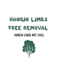Hangin Limbs Tree Removal