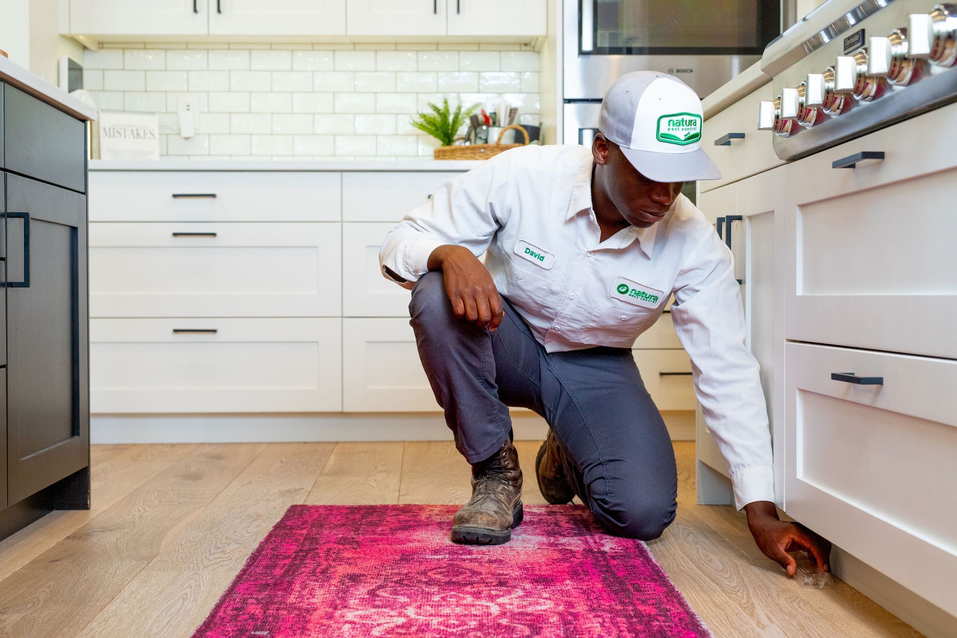 Expert Natural Pest Control in Reno, NV | Natura Pest Control