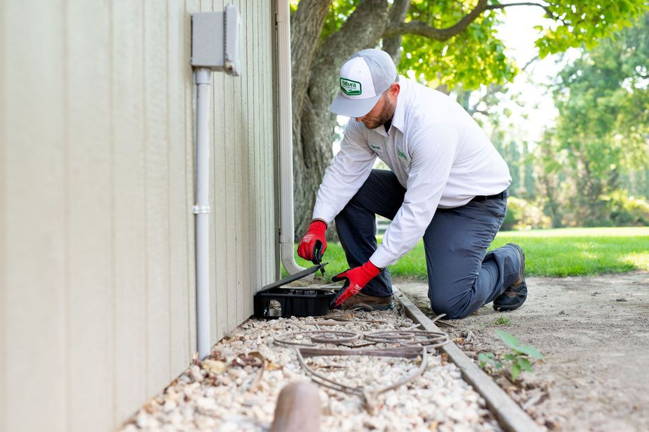 Expert Natural Pest Control in Reno, NV | Natura Pest Control