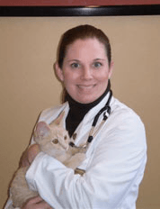 The Downtown Animal Hospital - Louisville Veterinarian