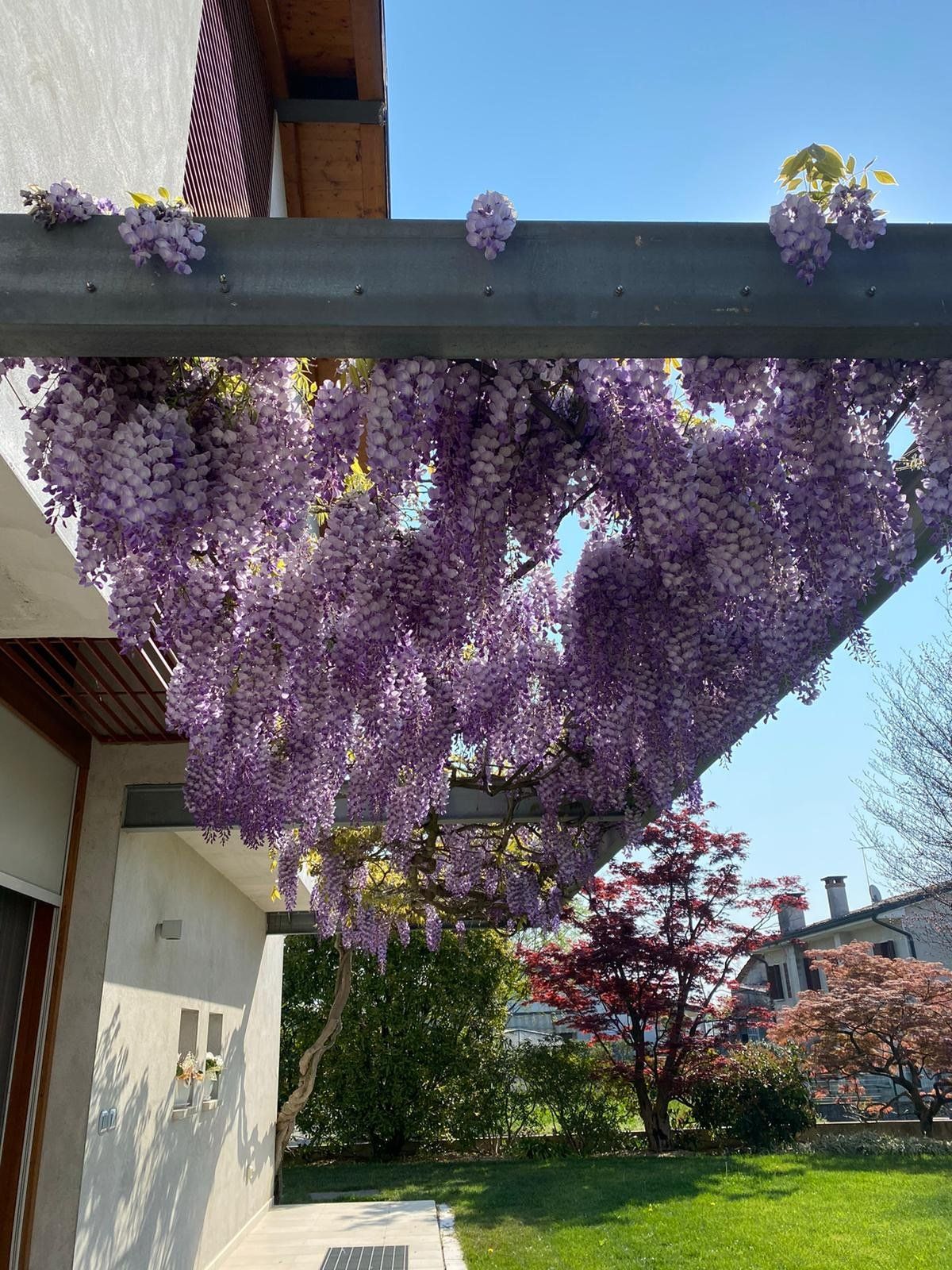 When Nature meets Design| Loria (TV) | Vivaio Porcellato