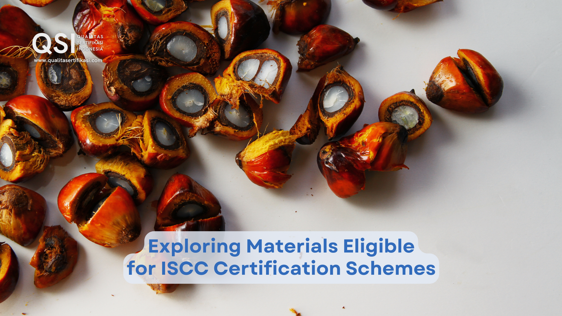 Exploring Materials Eligible for ISCC Certification Schemes